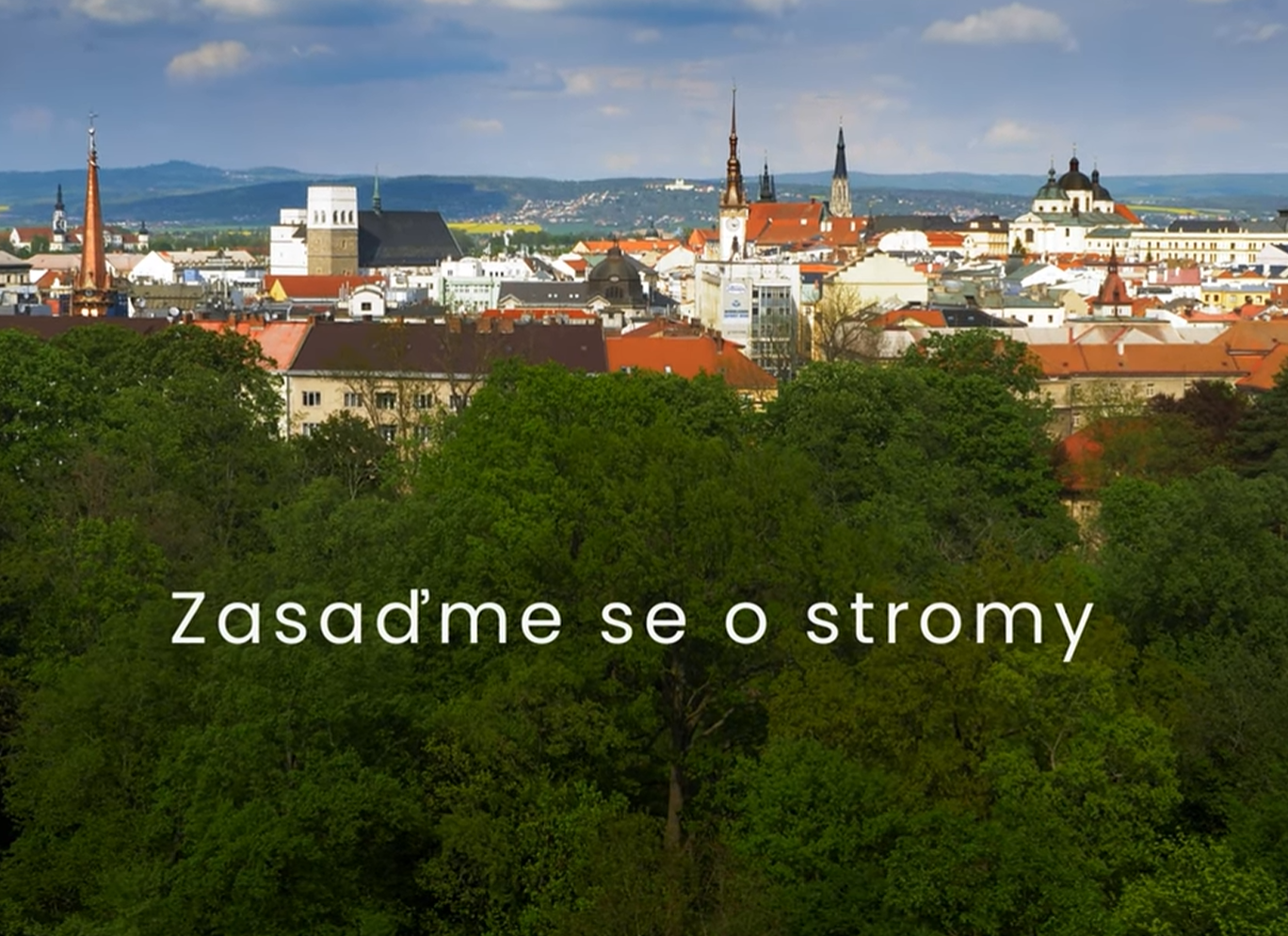 Zasaďme se o stromy | MiSe Klima